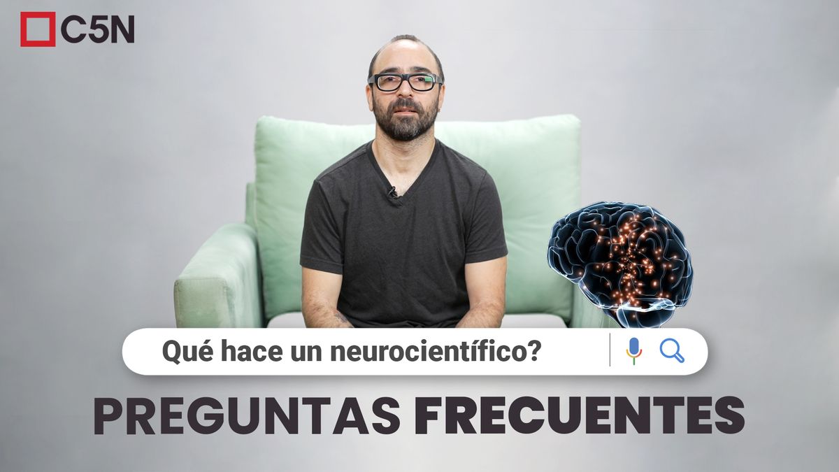 ¿Qué hace un neurocientífico?