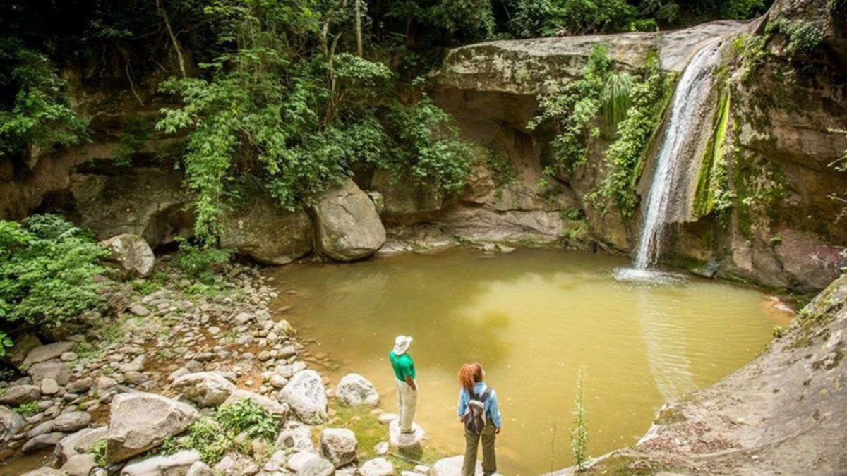 La escapada de Buenos Aires a un destino único para visitar una selva ...