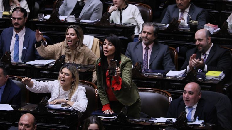 Balance del primer año legislativo de Milei: aprendizajes, aciertos y errores del oficialismo en ...