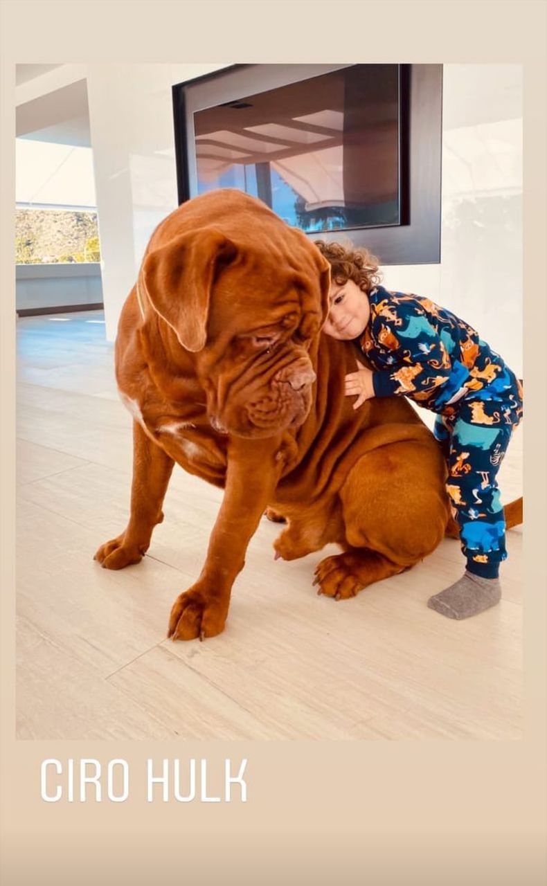 Una nueva foto de Hulk, el perro de Messi, revolucionó las redes sociales