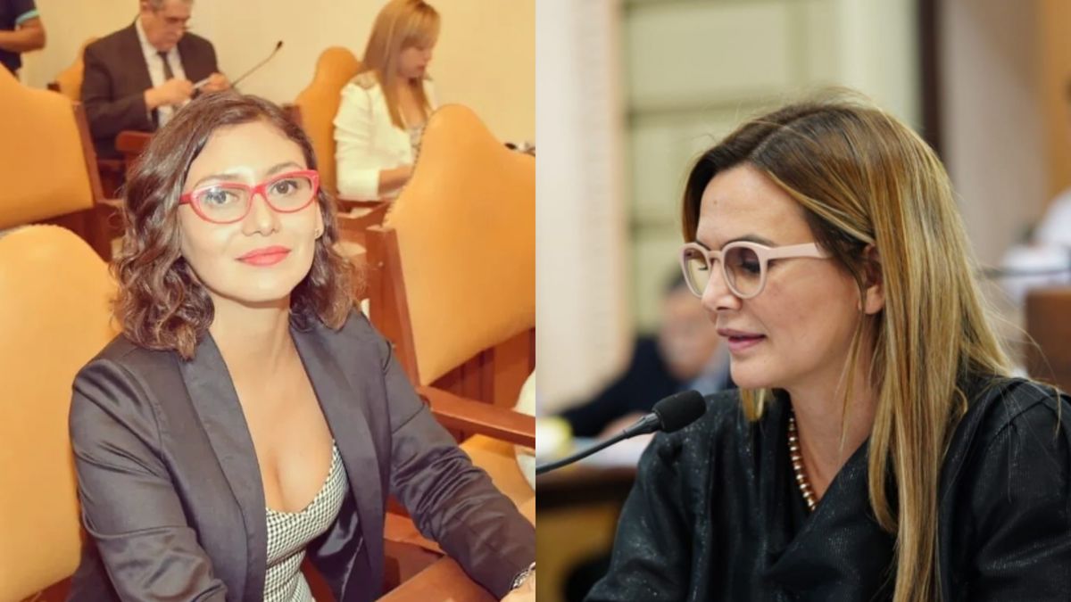 Mis tetotas son mías: el insólito cruce entre Amalia Granata y una funcionaria de Santa Fe