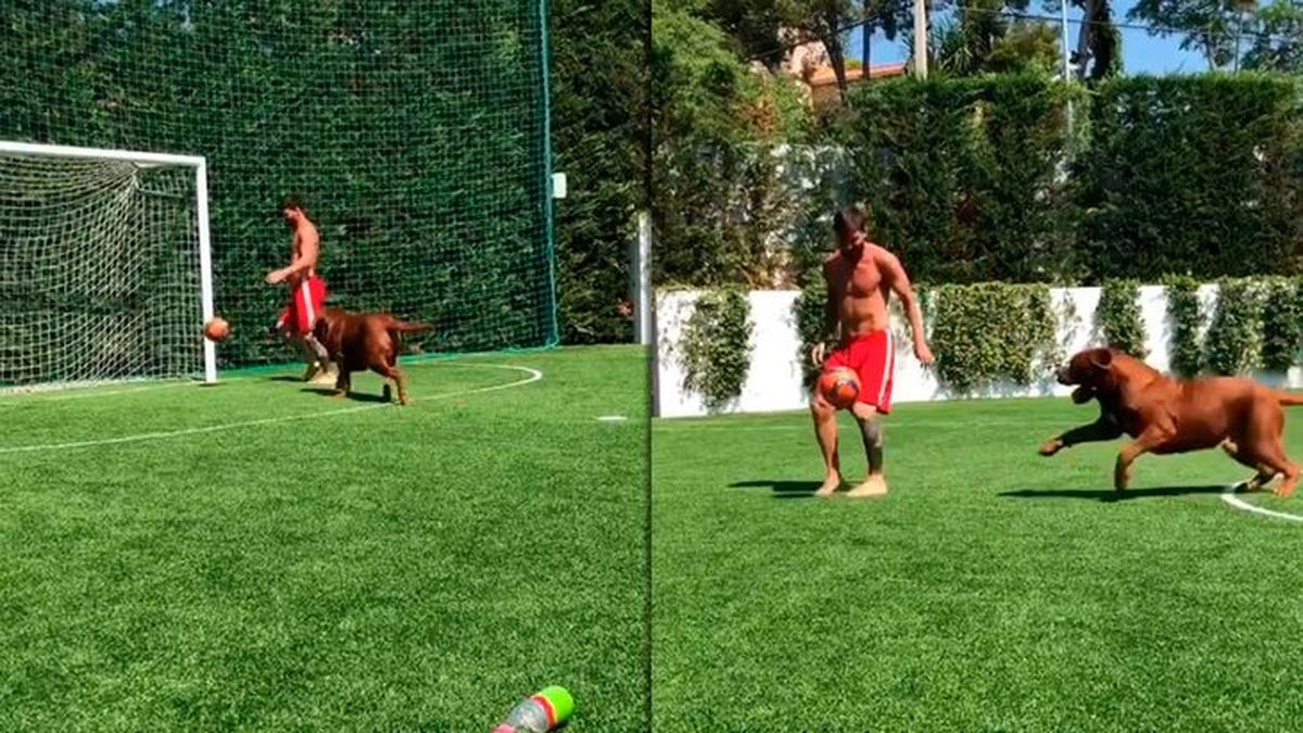 Messi volvió loco a su perro ante la mirada de sus hijos