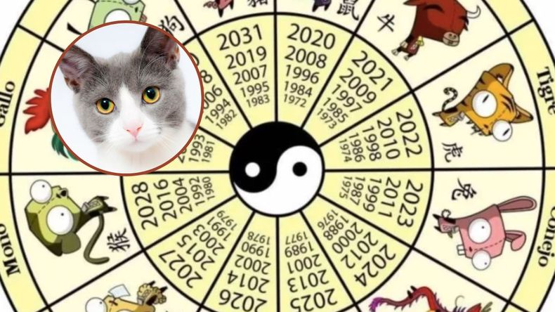 Horóscopo Chino: ¿por qué no existe el signo Gato?