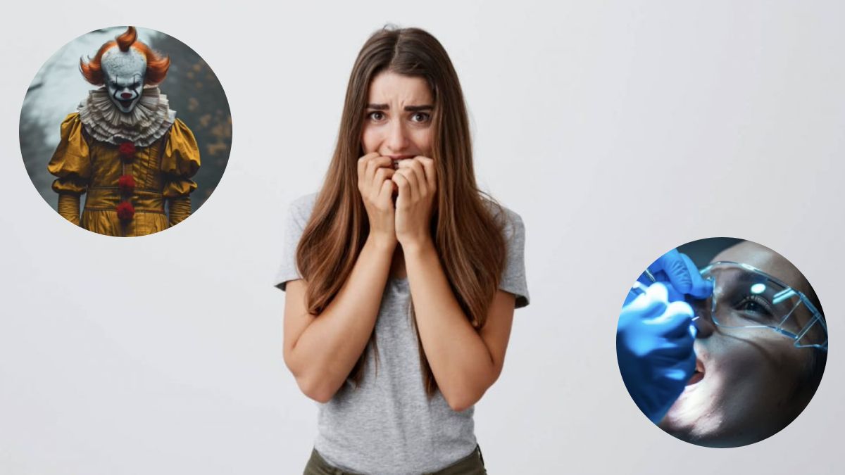 Qué fobia podrías tener por tu mes de nacimiento según la inteligencia ...