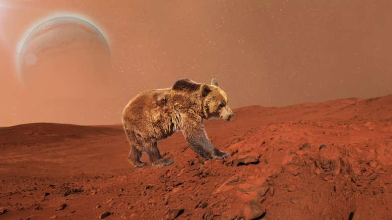 ¿Osos en Marte? La NASA detectó una extraña figura en la superficie del ...