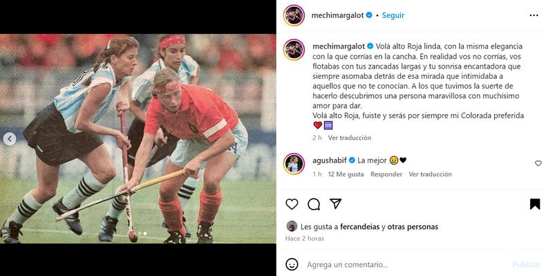 Conmoción en el mundo del hockey: el último adiós de las Leonas a ...