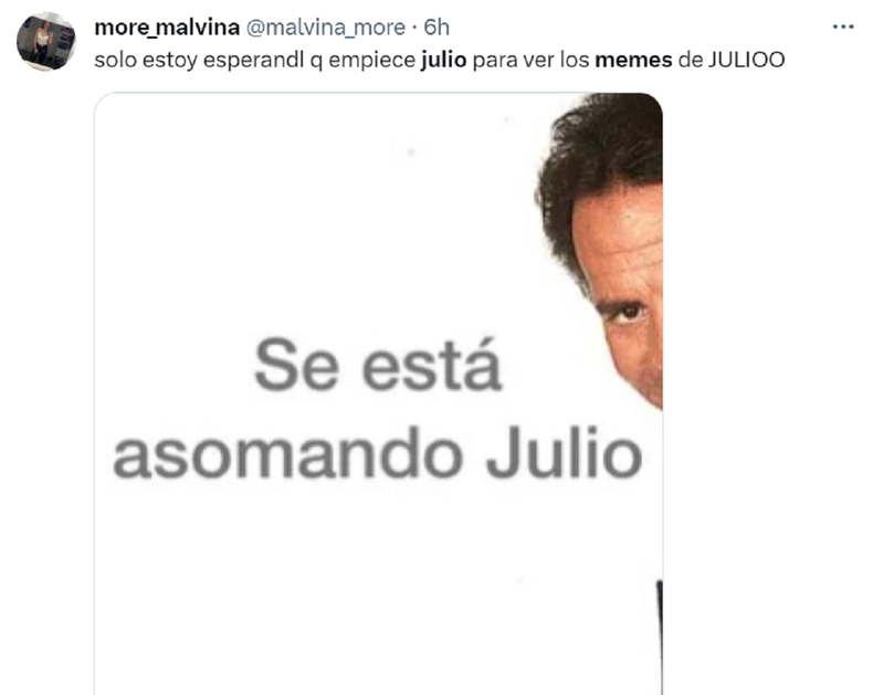 Está por caer Julio: los mejores memes por la llegada del nuevo mes del año