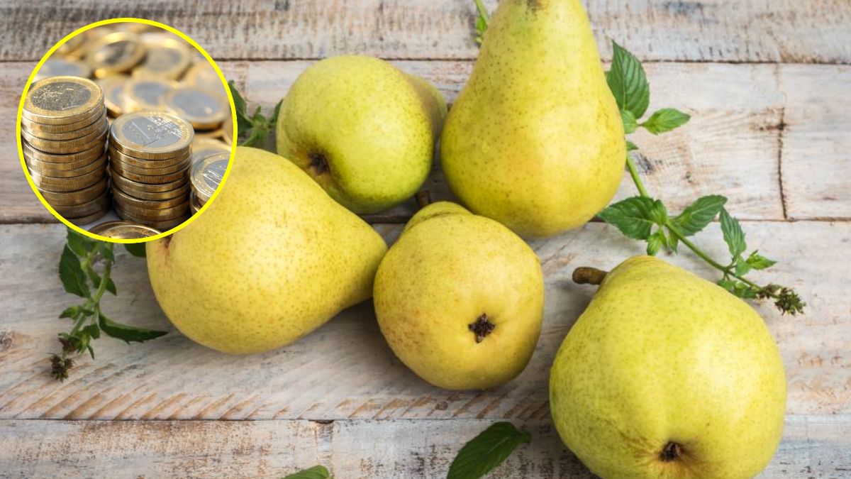 ¿Buscas trabajo? Qué ritual con una pera tenés que hacer para ...