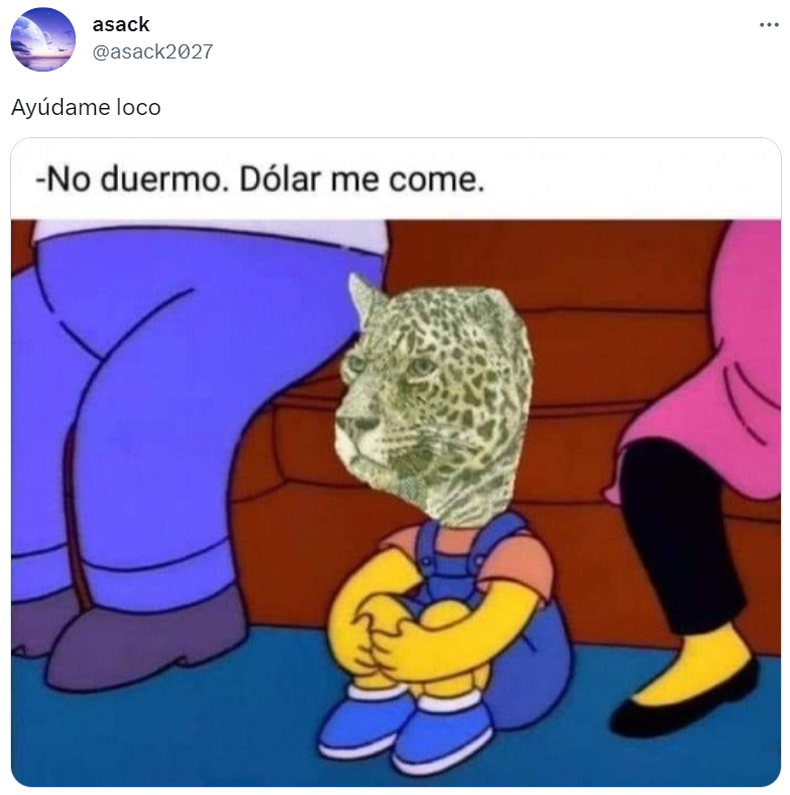 Ayudame loco: los mejores memes por la escalada del dólar blue