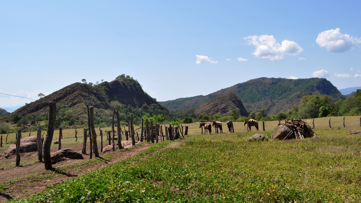 Viajar a Salta: el destino que nadie conoce y te va a encantar