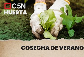 ¿Qué cosechar en tu huerta en otoño?