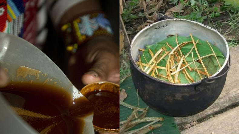 De qué se trata la tradición del Yagé, el ritual colombiano de origen indígena