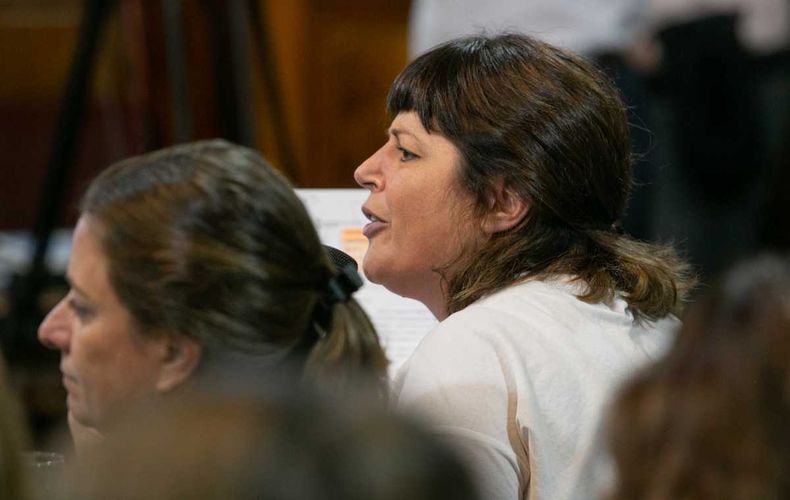 La diputada Carolina Gaillard cargó contra el oficialismo y aliados en ...