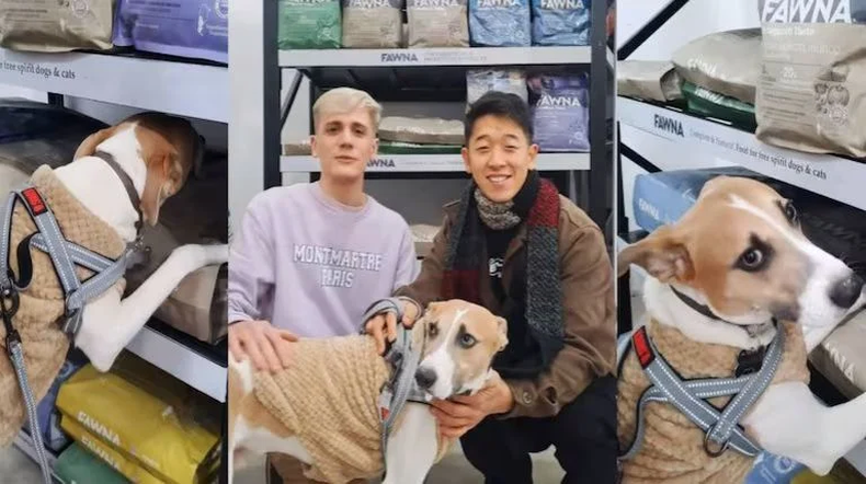 El insólito trabajo que consiguió el perro Arturo de Gran Hermano que ...