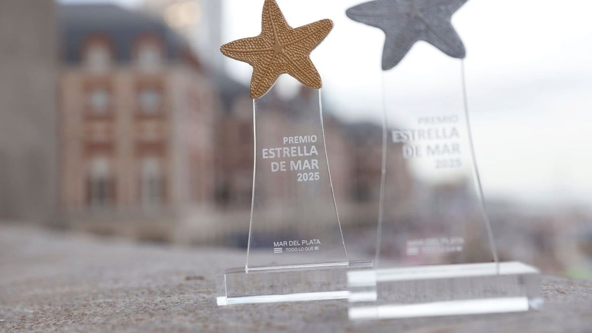Premios Estrella de Mar 2026: se conocieron todos los nominados