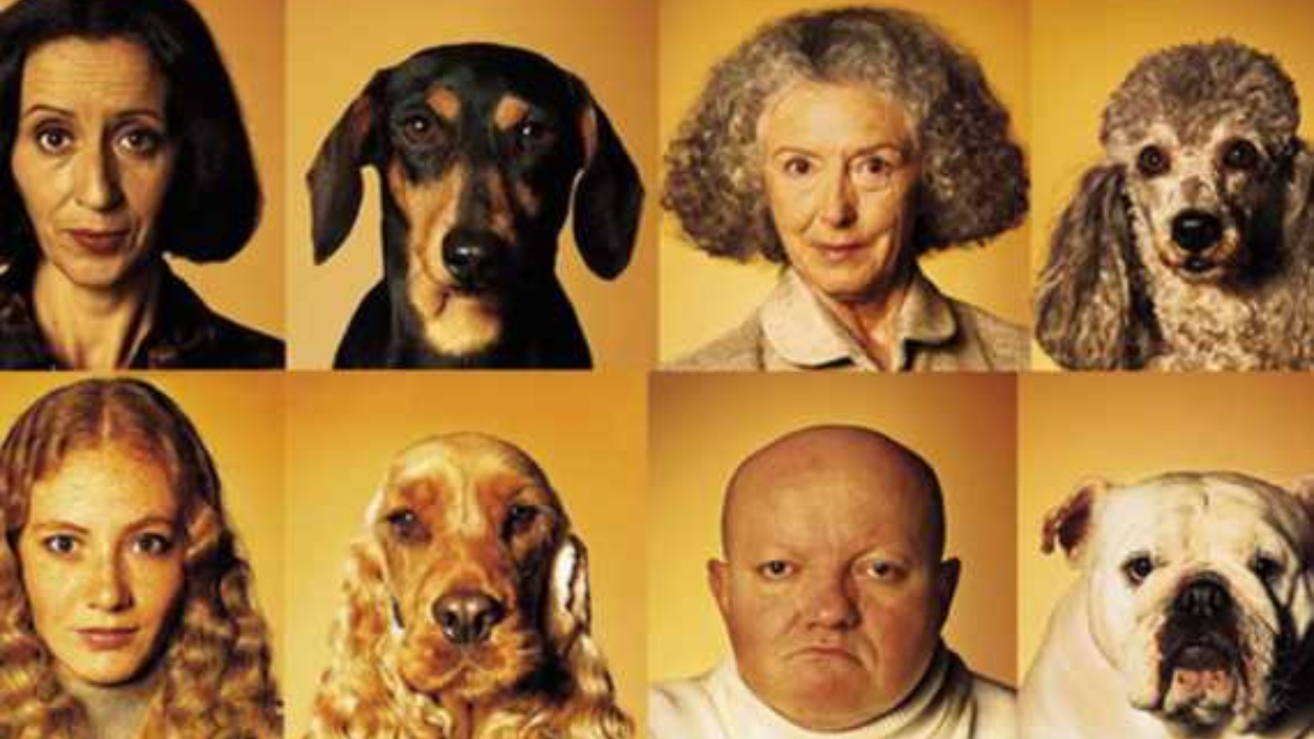 Un estudio confirmó lo que todos pensábamos: las mascotas se parecen a ...