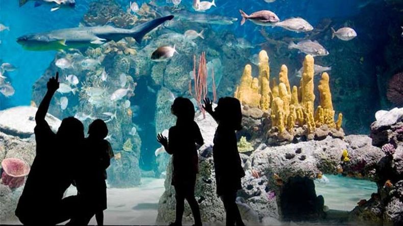 De zoológico a bioparque: cómo es la historia de Temaikén y qué cambios ...