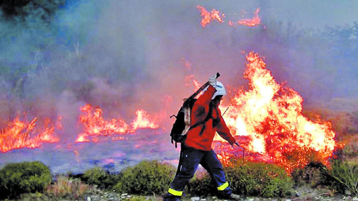 Incendios en Chubut: nuevos indicios de la investigación apuntan a una ...