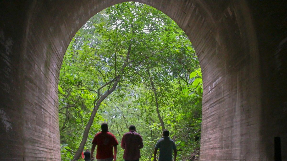 Turismo en Argentina: los túneles que están en el medio de una selva tupida