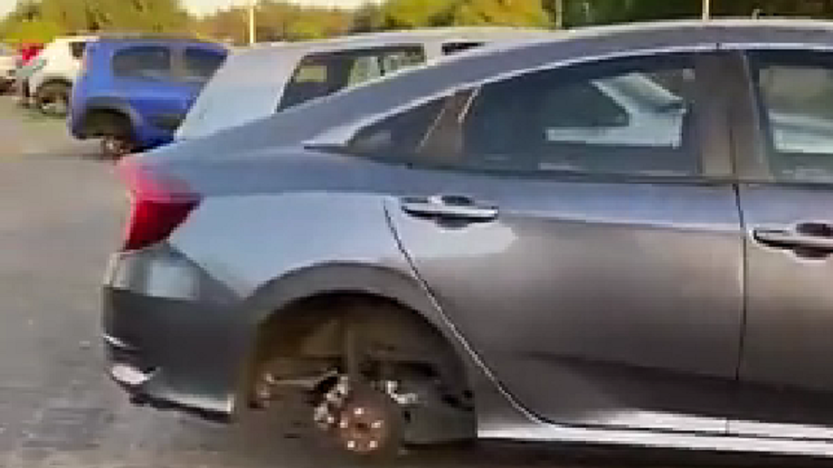 Video: en pleno festejo por la Selección, a unos hinchas les robaron ...