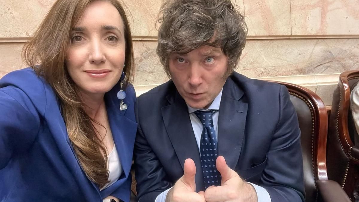 ¿Villarruel se despega de Milei?: la candidata a vice sacó su propio ...