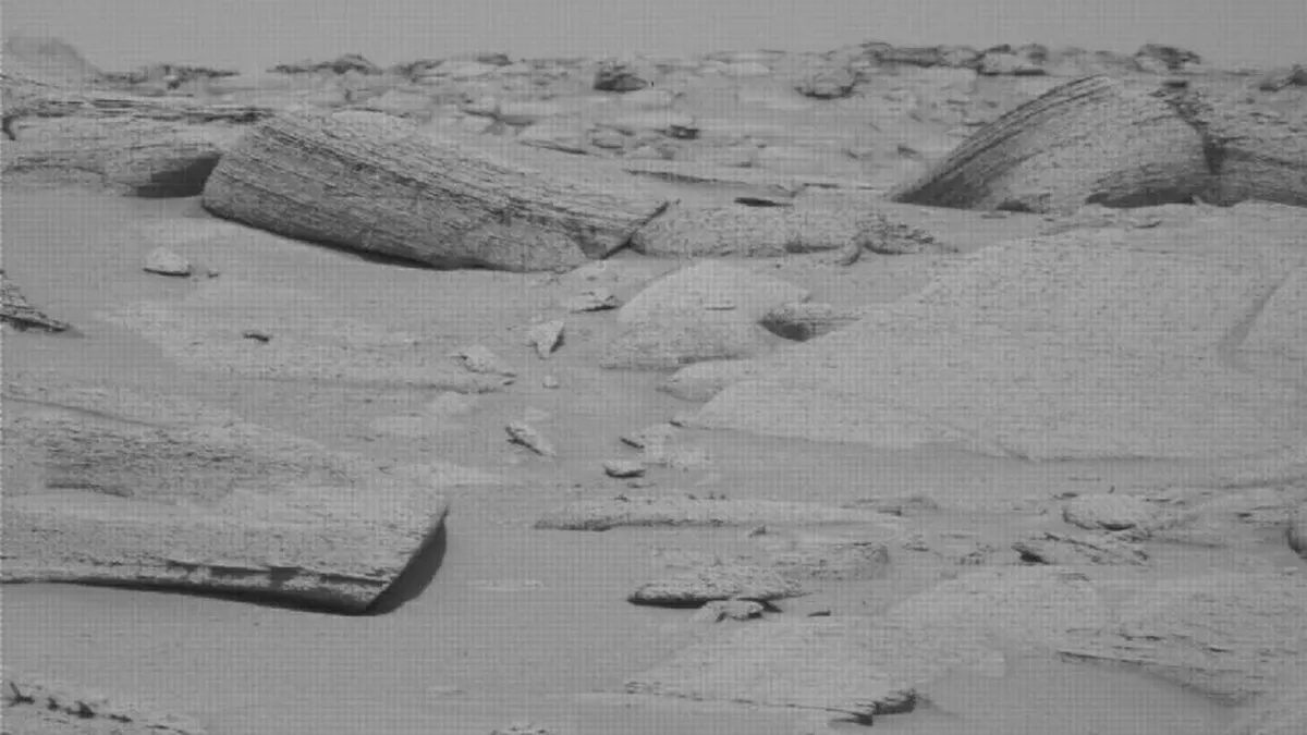 La NASA aclaró la imagen de Marte donde parece verse fósiles de ...