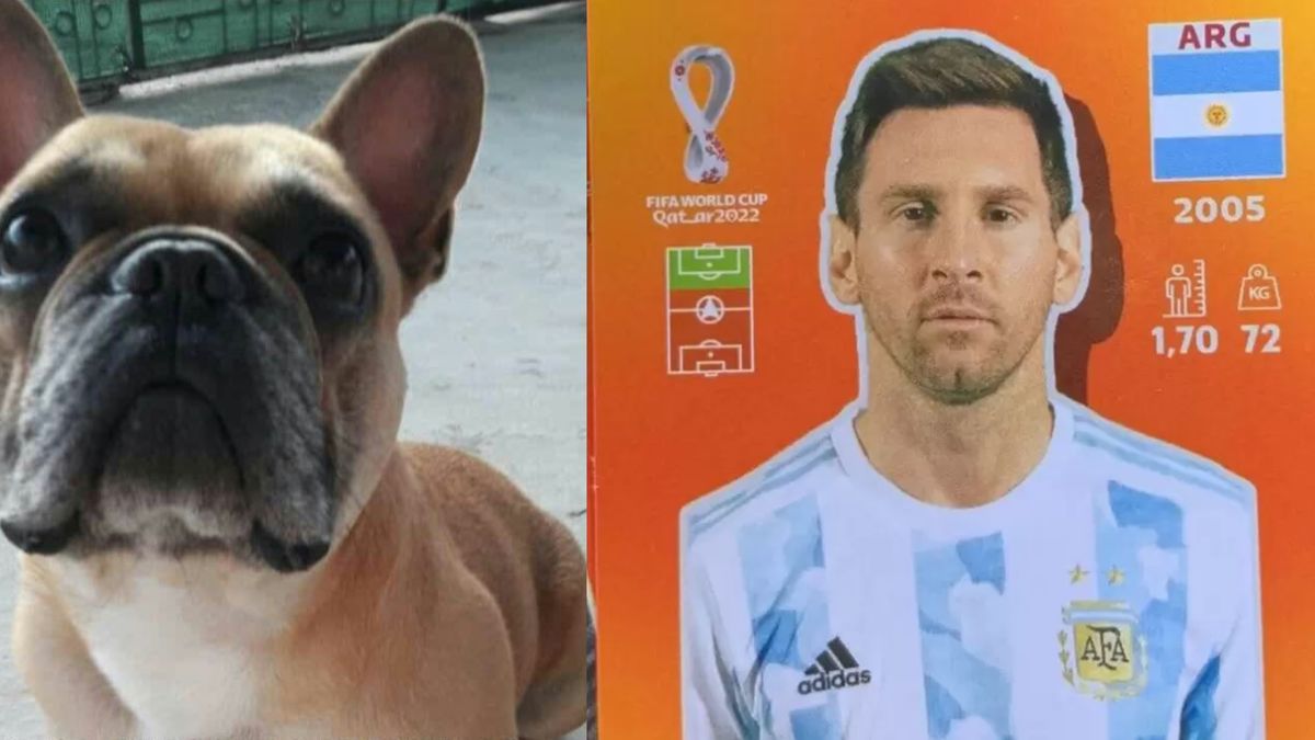 Le robaron el perro y ofreció una figurita de Lionel Messi como recompensa