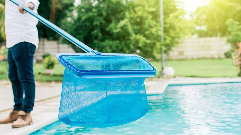 El truco para limpiar la pileta cuando está verde y no la querés vaciar