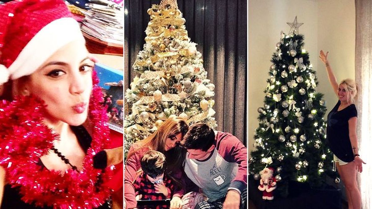 Palpitando Navidad: Los famosos armaron su arbolito