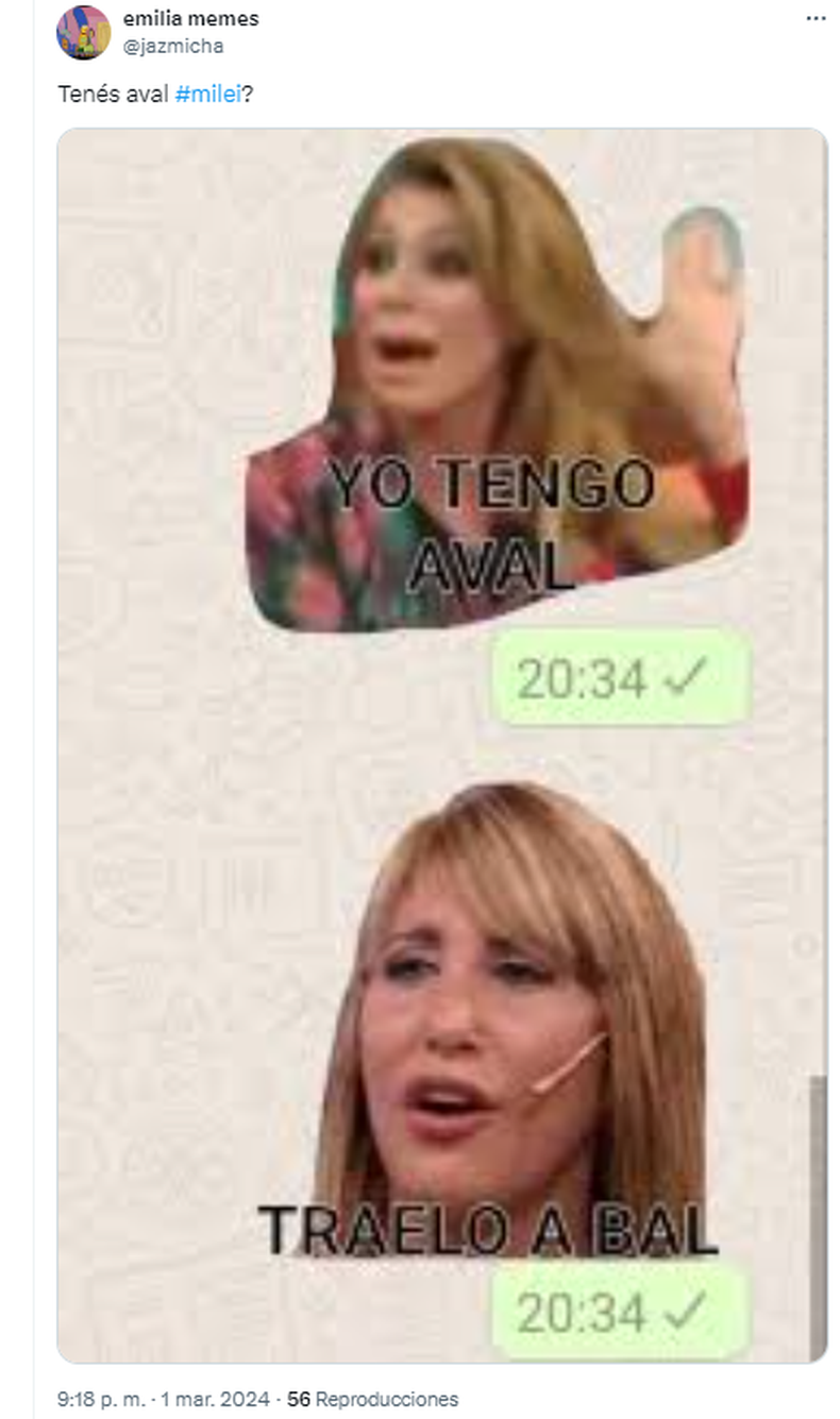 Tras el discurso de Javier Milei en el Congreso, estallaron los memes ...