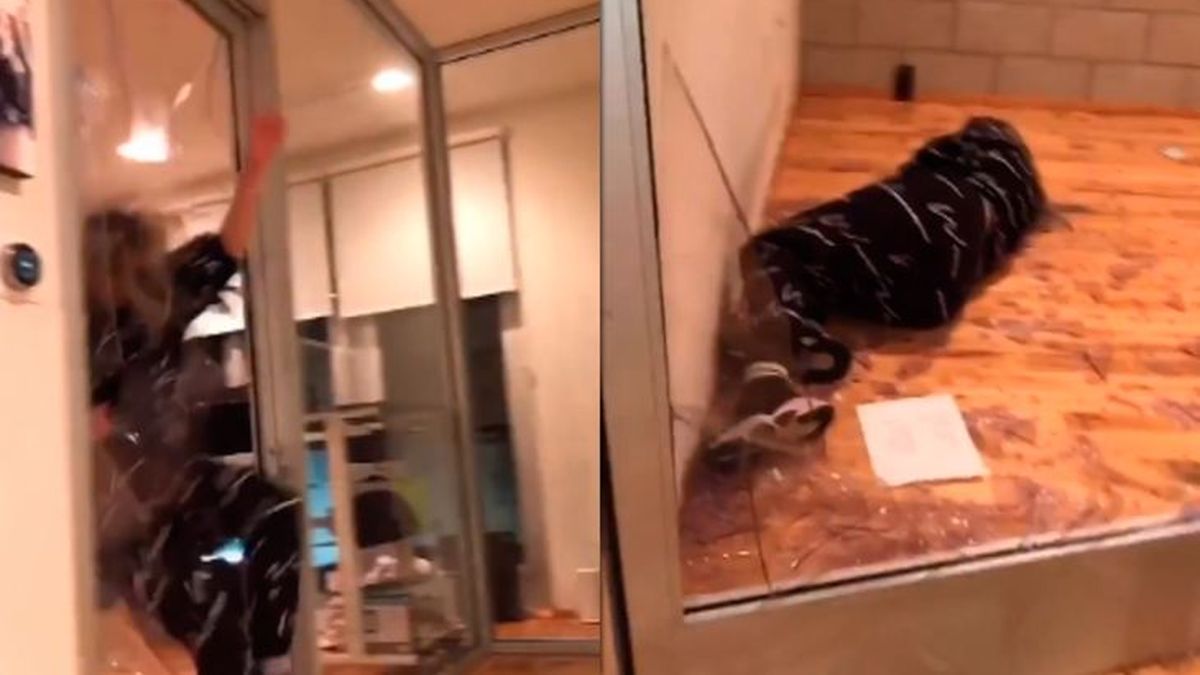 Terrible pero dudoso: el accidente de Lele Pons en las redes sociales