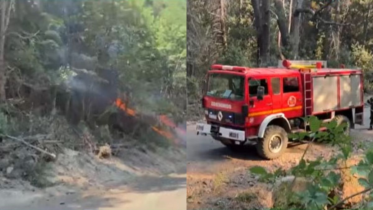 El fuego no cede en la Patagonia: el foco en el Parque Los Alerces ...