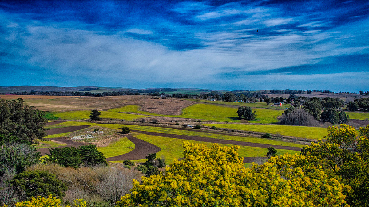 La escapada de Buenos Aires que sorprende por su cautivador paisaje
