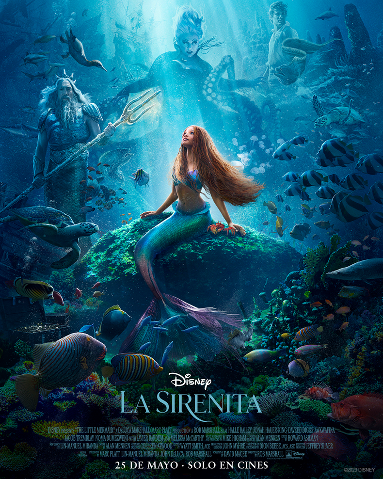 La Sirenita sorprende por sus protagonistas y los pequeños cambios en ...