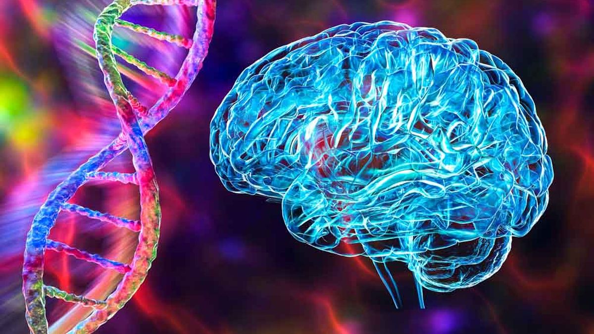 Identifican dos vías para el desarrollo de nuevos tratamientos para la ELA