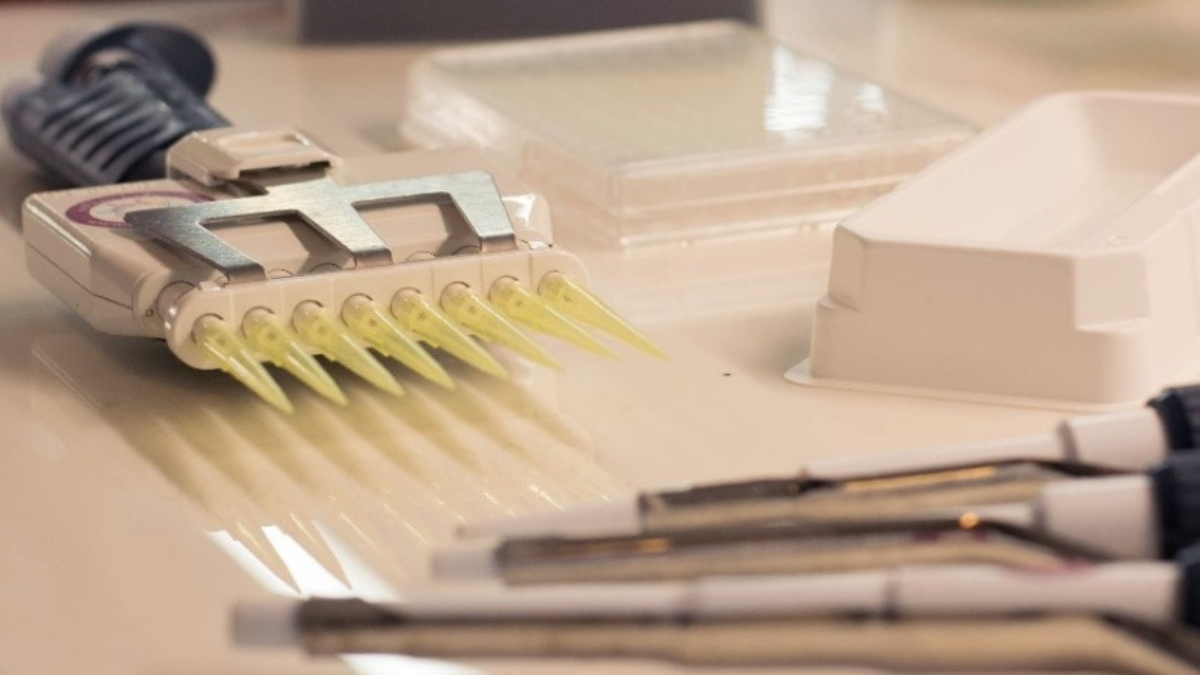 El Conicet desarrolla un kit rápido de diagnóstico para la prevención del cáncer de cuello de útero