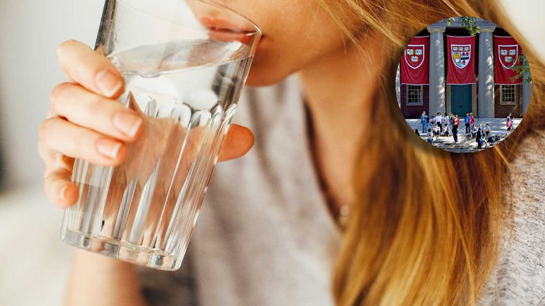 Qué sucede si tomas agua antes de comer según Harvard: ¿ayuda a bajar ...