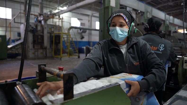 Algodón Ejemplar, un proyecto familiar con alcance internacional