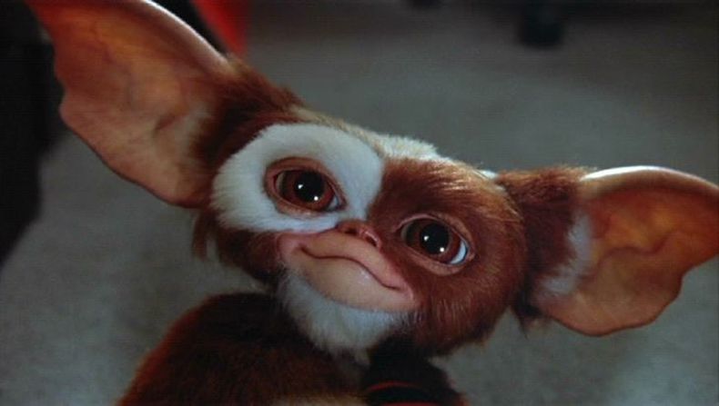 Terminaron el guion de Gremlins 3