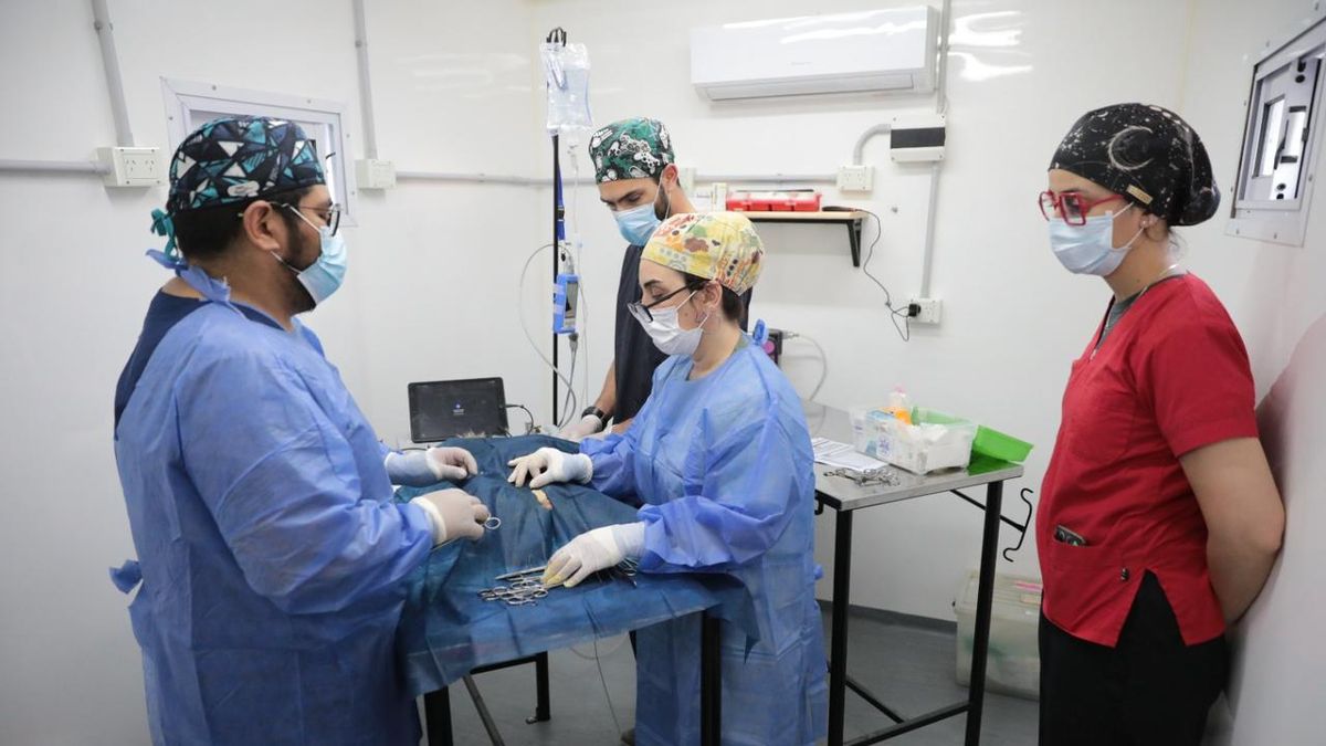 La UBA inauguró un quirófano veterinario móvil que recorrerá los ...