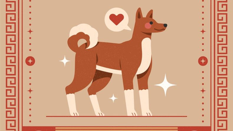 Cuidado: los signos del Horóscopo Chino que pueden ser traicionados en ...