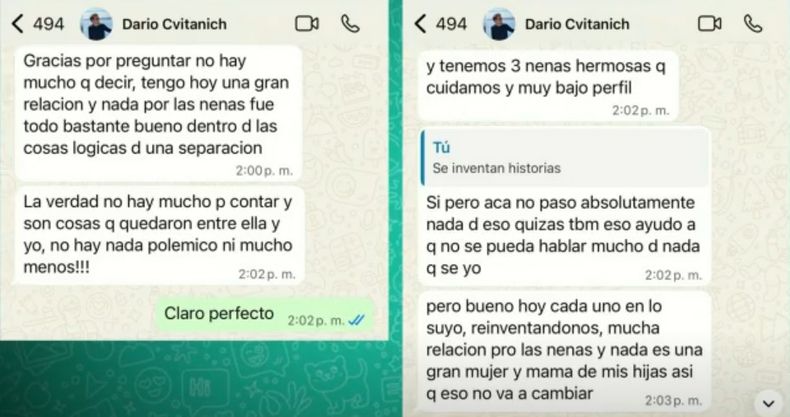 Se SEPARARON DARÍO CVITANICH y CHECHU BONELLI, una de las parejas más ...