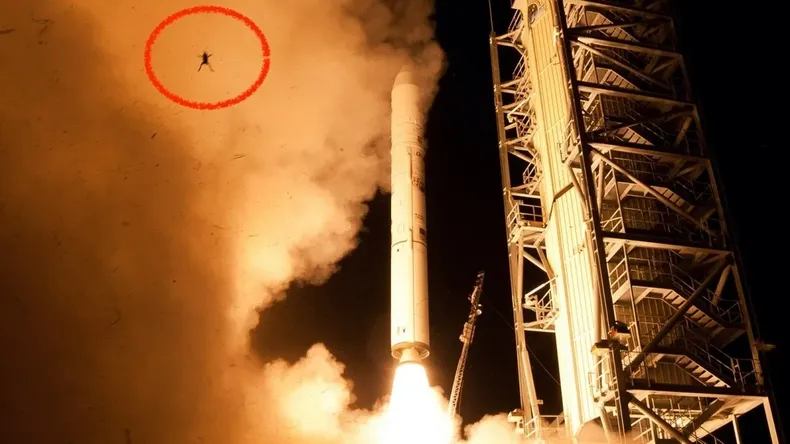 Conocé la historia de la rana voladora en la foto del despegue de la NASA