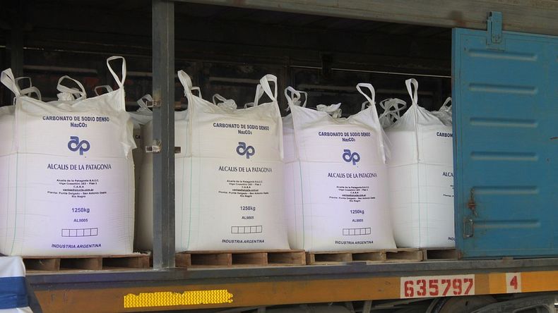 Flavia Royón resaltó la expansión de Alpat en la industria del litio