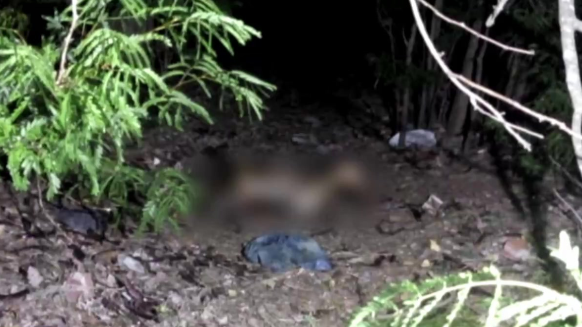 Macabro hallazgo: encontraron el cuerpo de un hombre calcinado