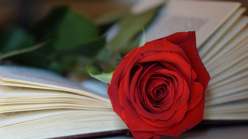Sant Jordi en abril: cómo es la tradición catalana y qué debés hacer ...