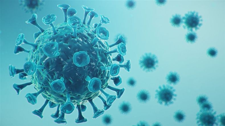 Qué es el Henipavirus, el nuevo virus que se detectó en China