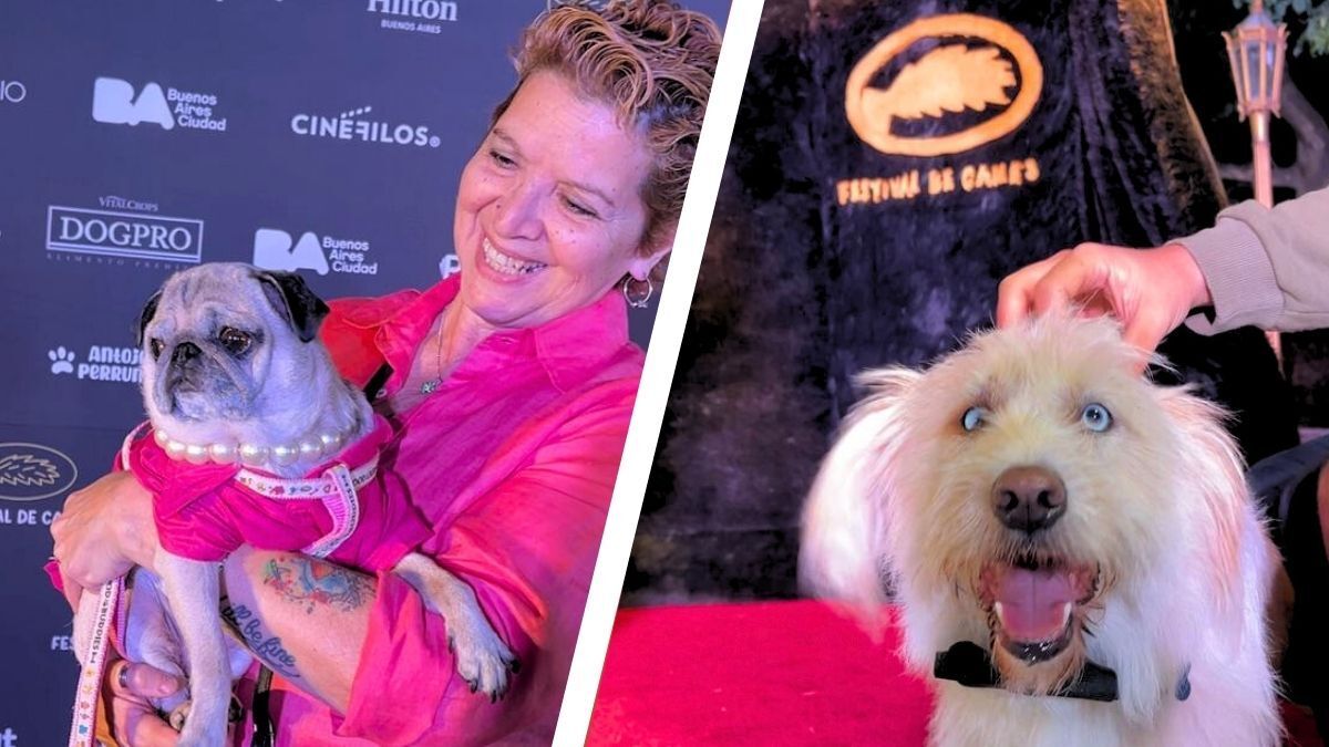 Se celebró el Festival de Canes, el encuentro para los amantes del cine ...