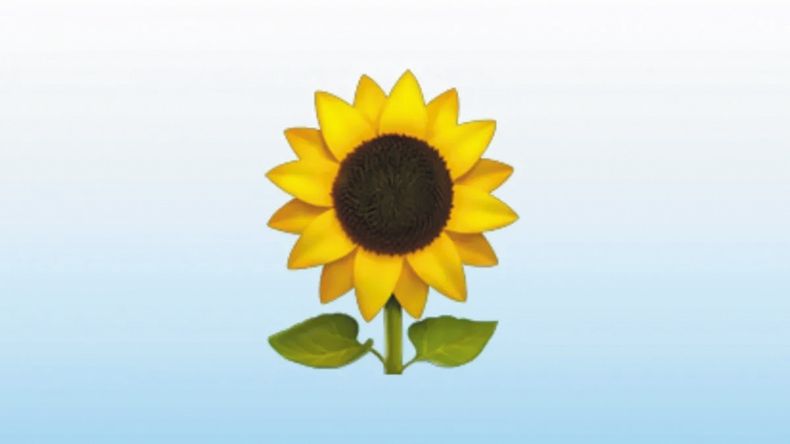 Increíble: este es el verdadero significado del emoji de WhatsApp de un girasol