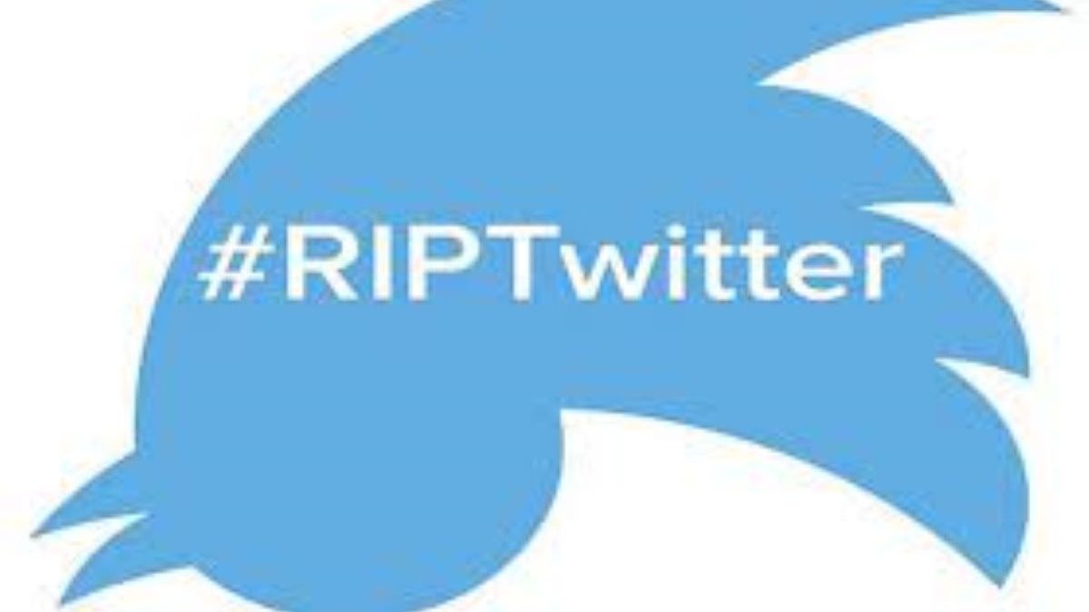 RIP Twitter: los mejores memes tras el rumor de que la red social puede ...